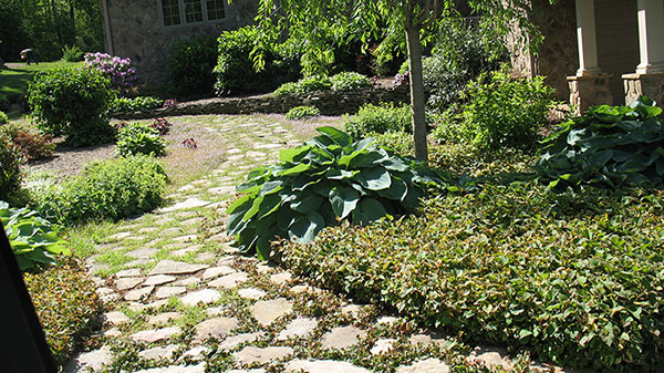 Landscaping, Kingsport, Bristol, and Johnson City, TN - Englewood Lawn ...